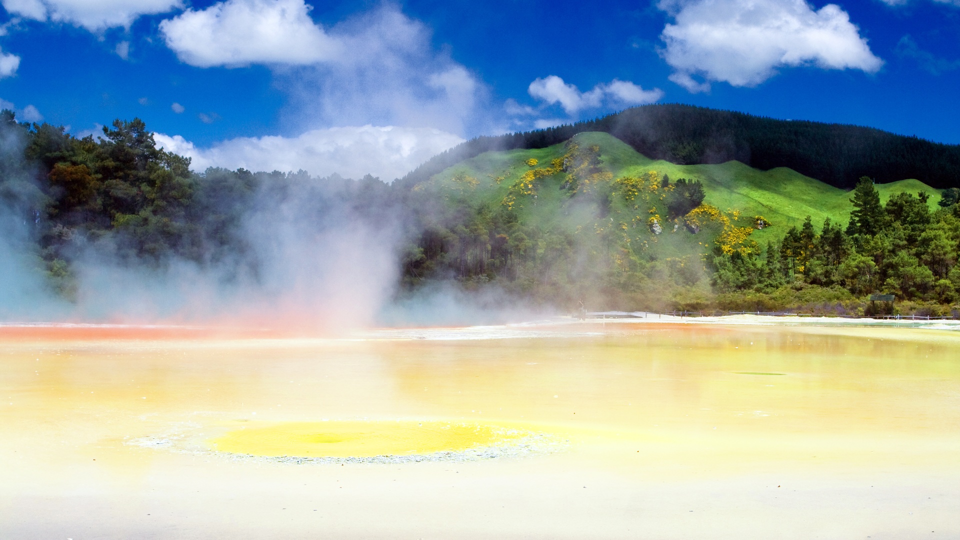 Champagne Pool (Wai-O-Tapu)