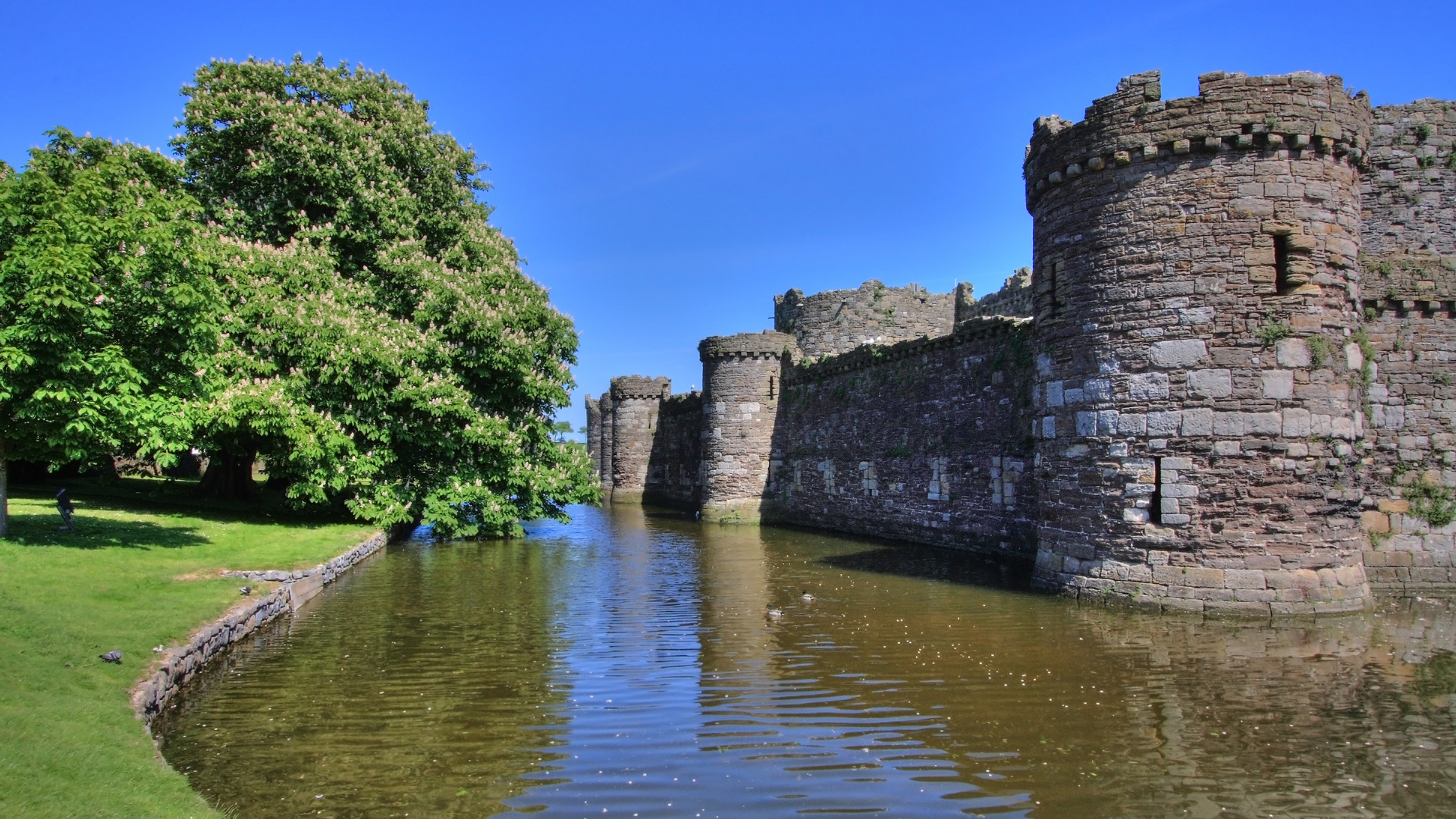 Beaumaris Castle