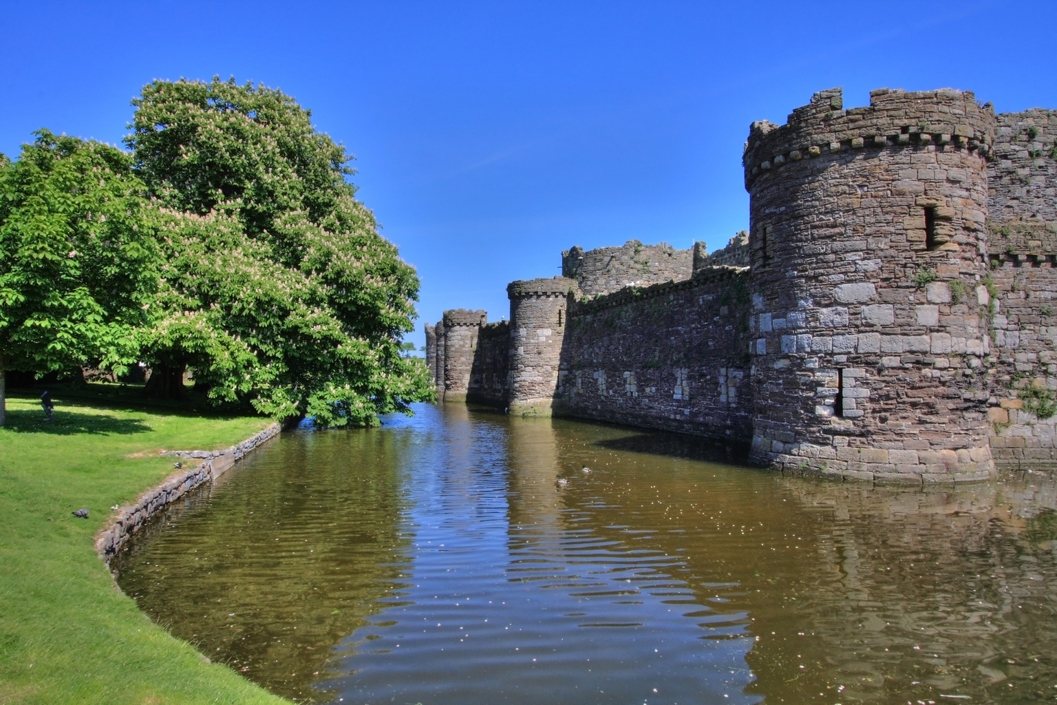Beaumaris Castle