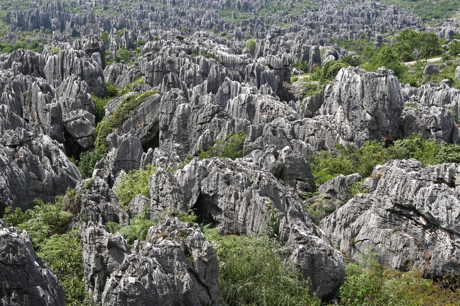 Shilin Karst (Stone Forest)