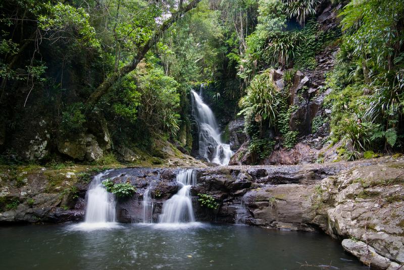 Lamington National Park