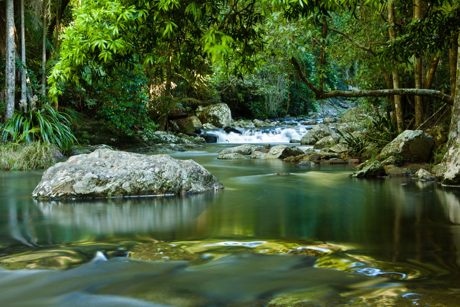 Springbrook National Park