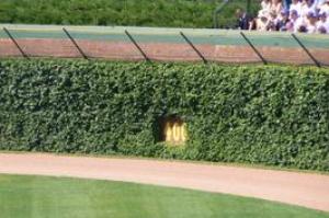 Cubs Game at Wrigley Field