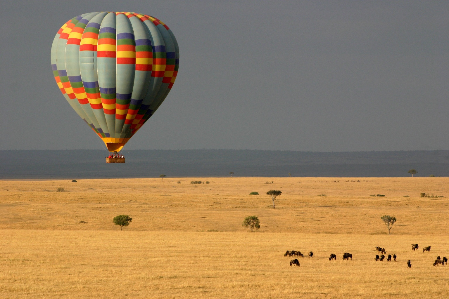Hot Air Balloon