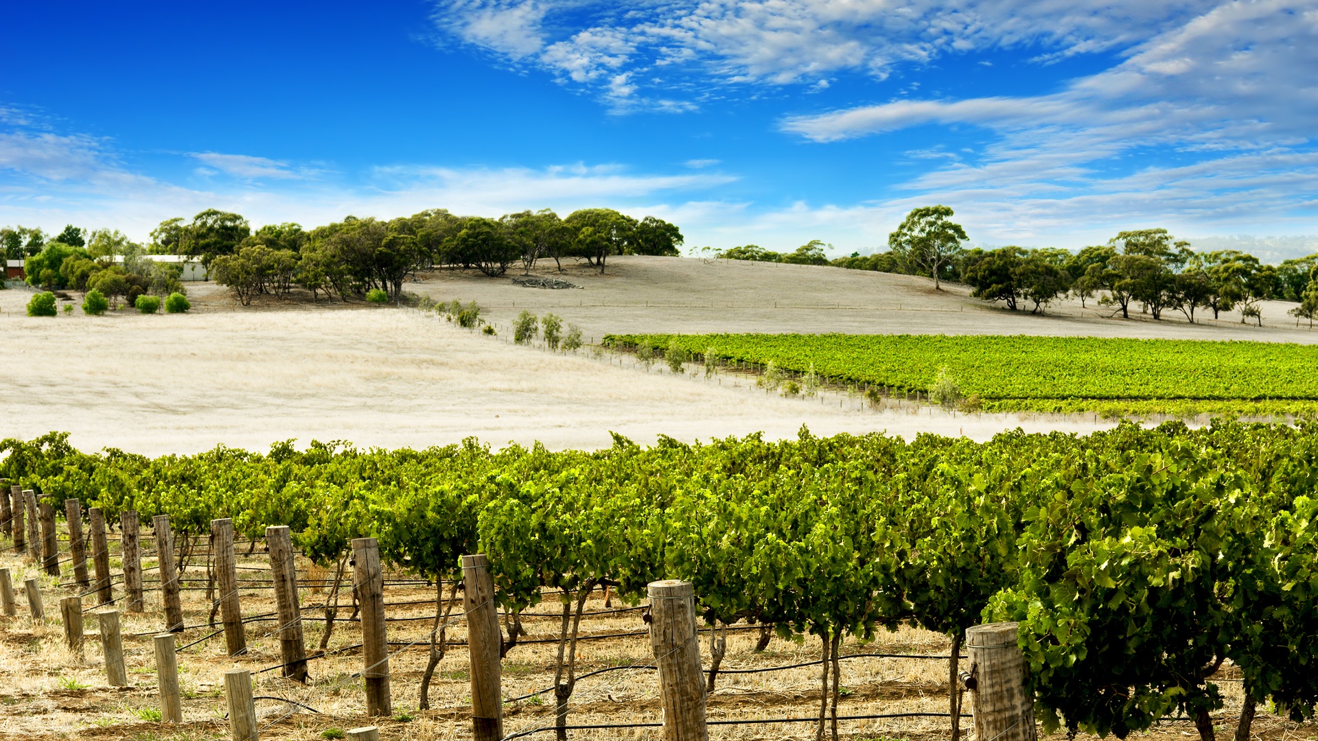 Barossa Valley
