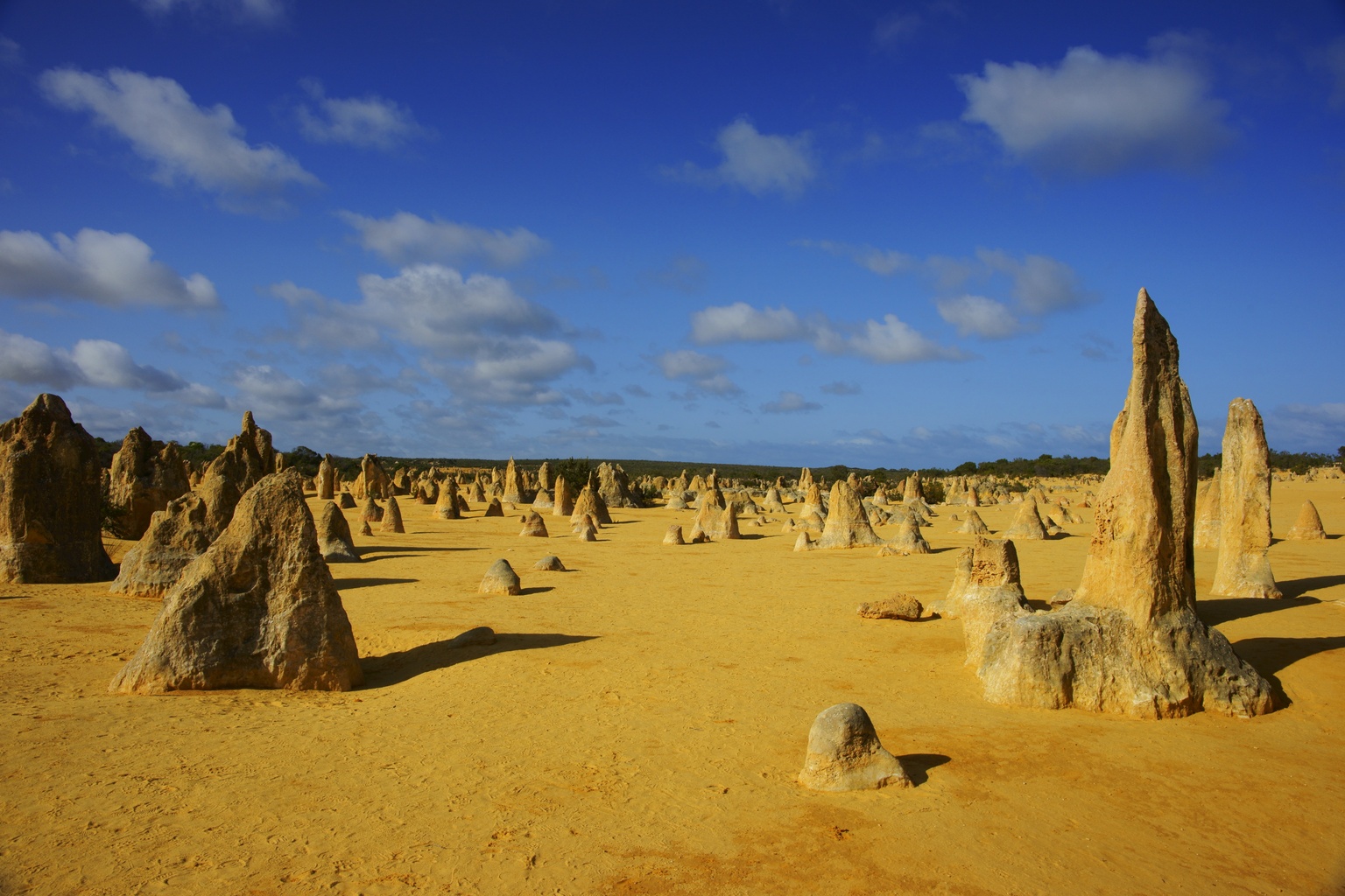 Western Australia (State)