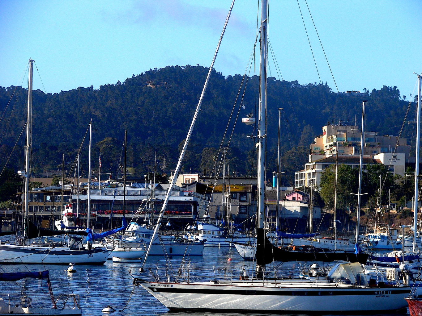 Monterey