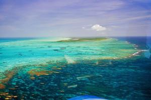 Horseshoe Reef