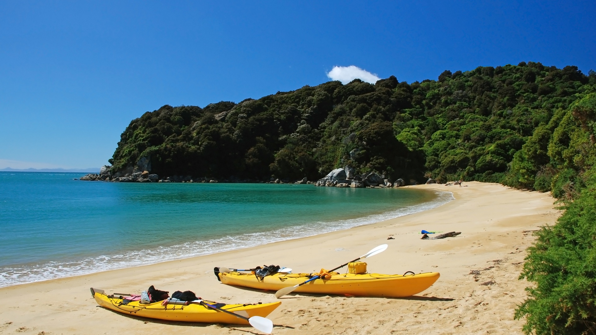 Abel Tasman National Park