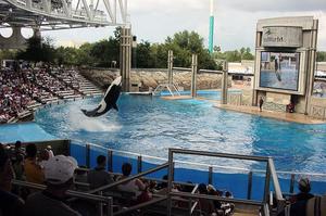 SeaWorld Orlando