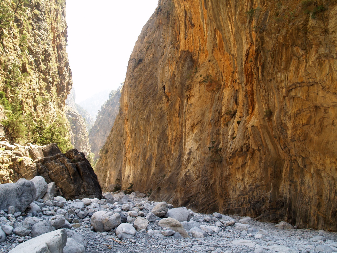 Samariá Gorge