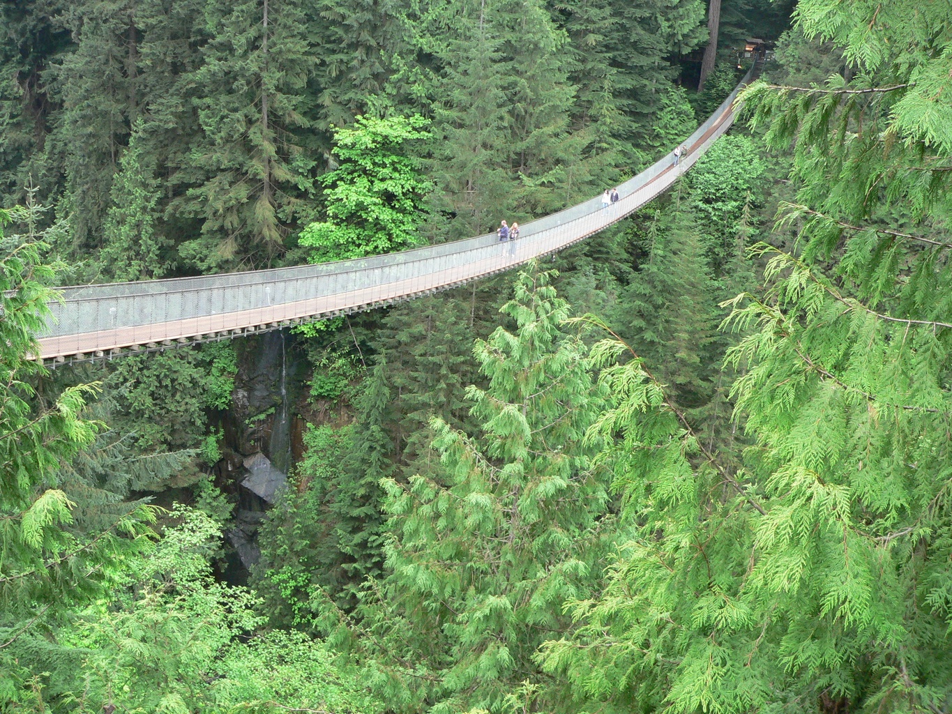 Capilano Suspension Bridge