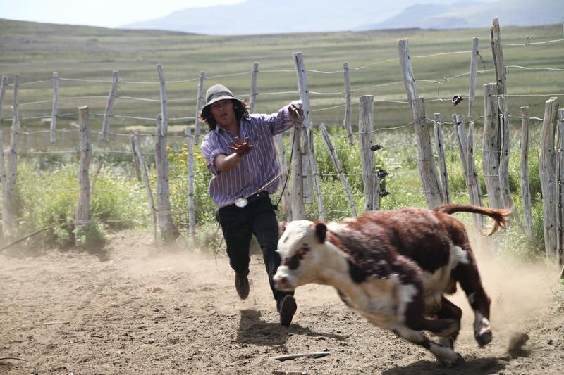 Estancia Ranquilco Cattle Ranch