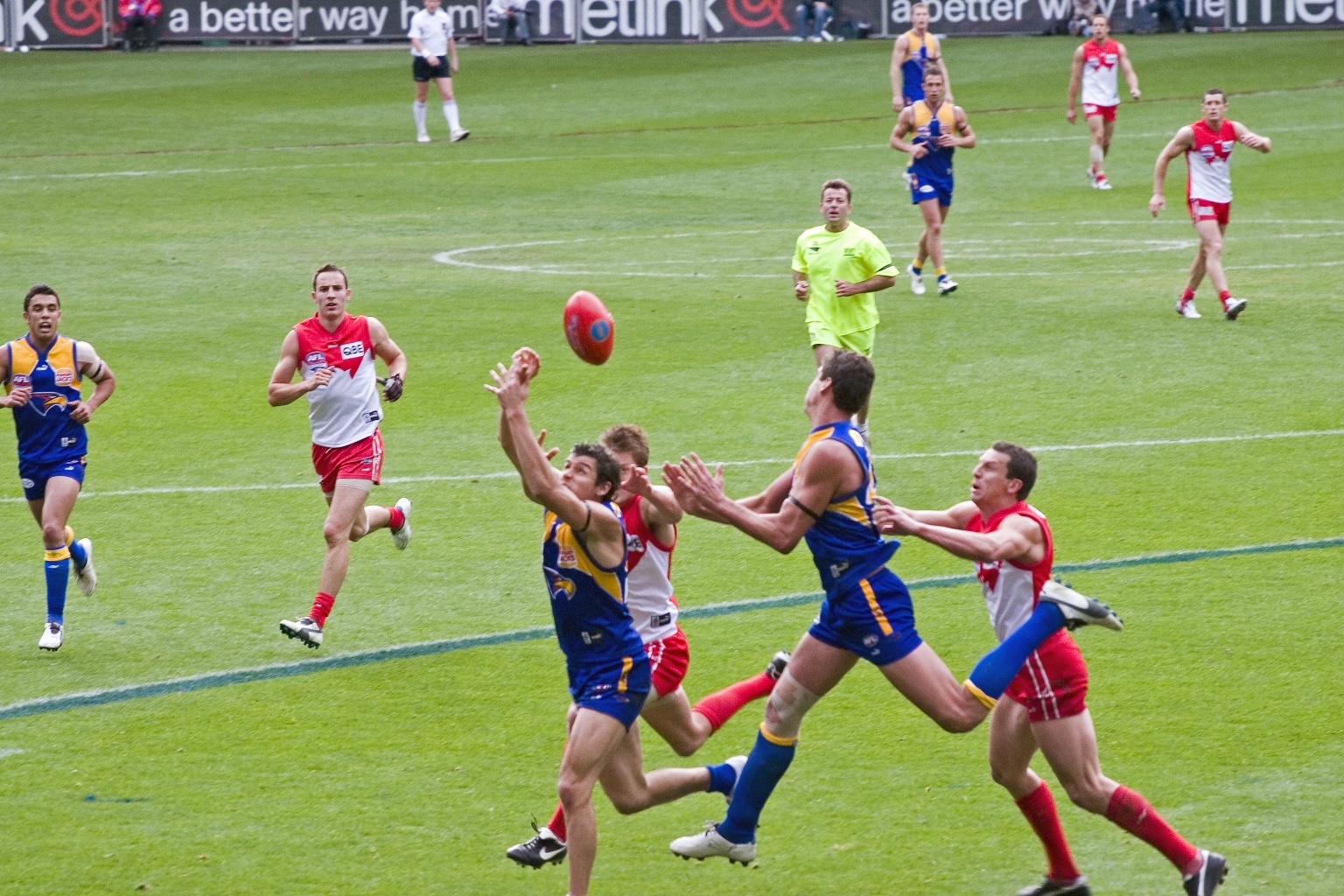 Australian Football League (AFL) Grand Final