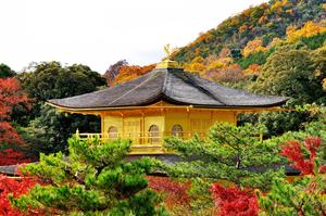 Kinkaku-ji (Temple of the Golden Pavilion)