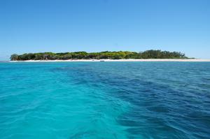 Lady Musgrave Island
