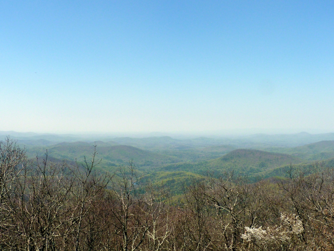 Springer Mountain