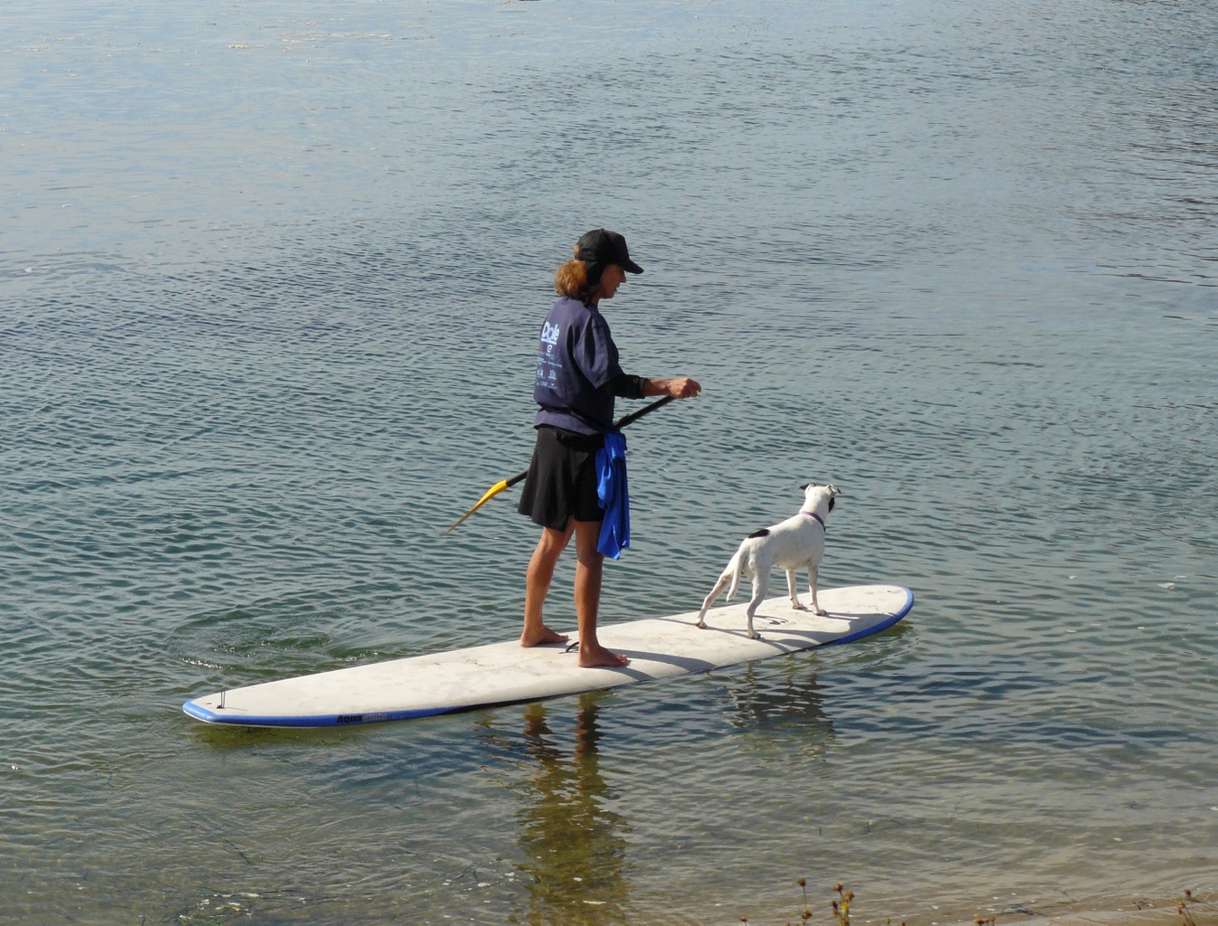 Paddle Boarding with My Dog