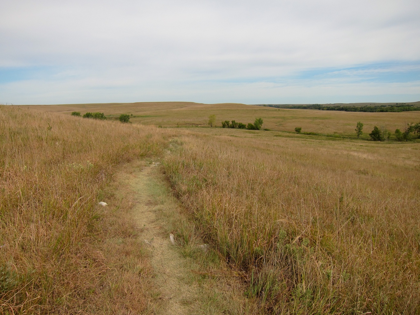 Tallgrass Prairie National Preserve