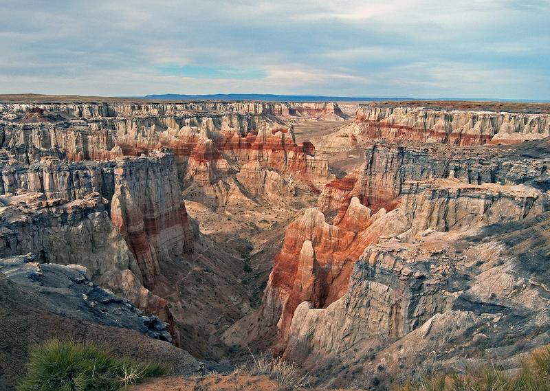 Coal Mine Canyon