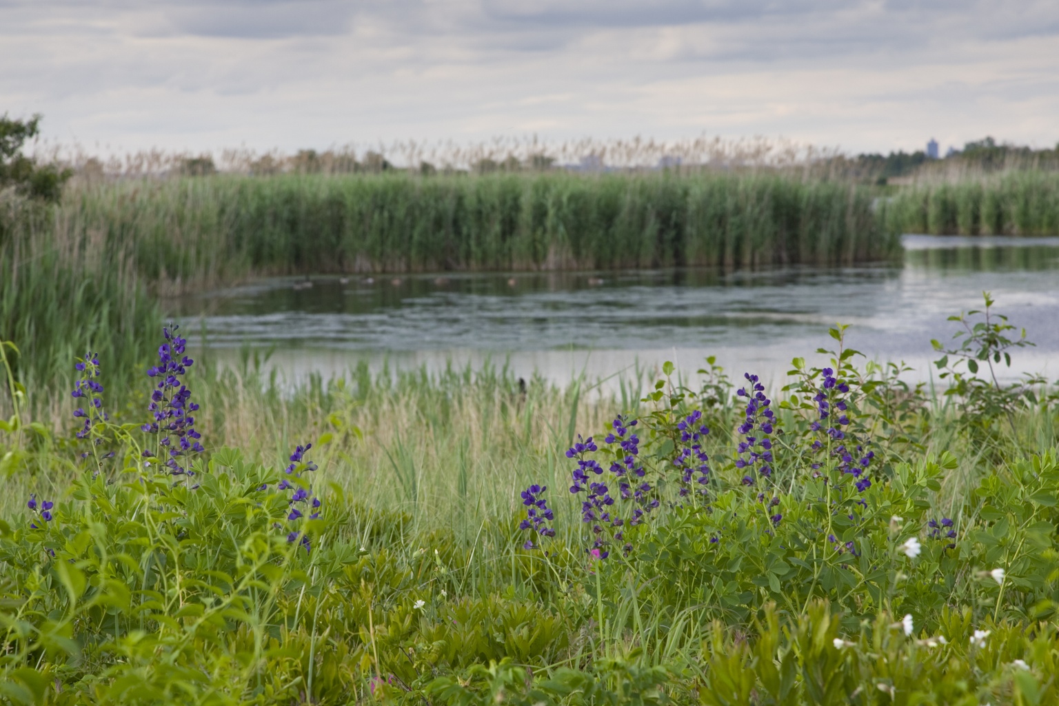 Gateway National Recreation Area