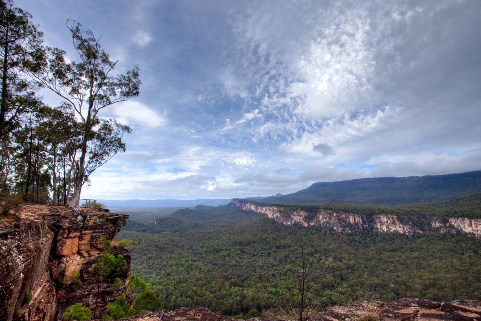 Carnarvon Gorge National Park
