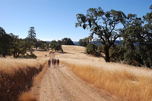 Hike Backpacking at Henry Coe State Park