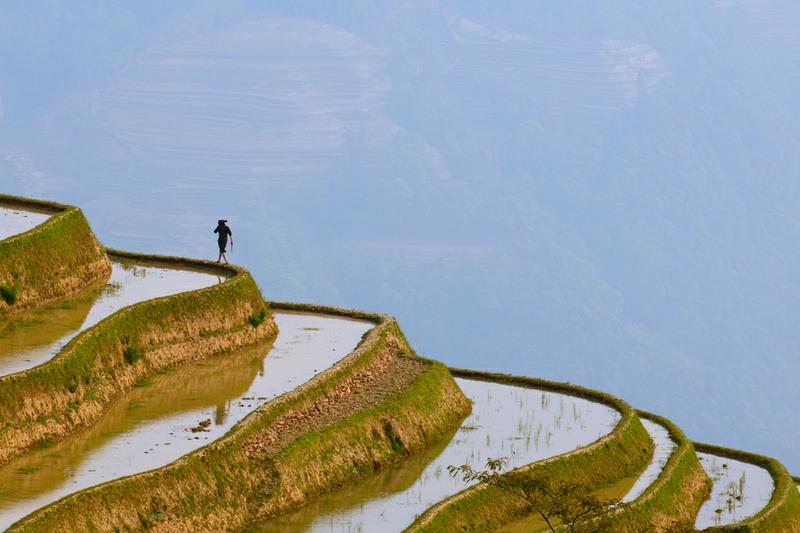 The marvel of China's multi-generational rice terraces
