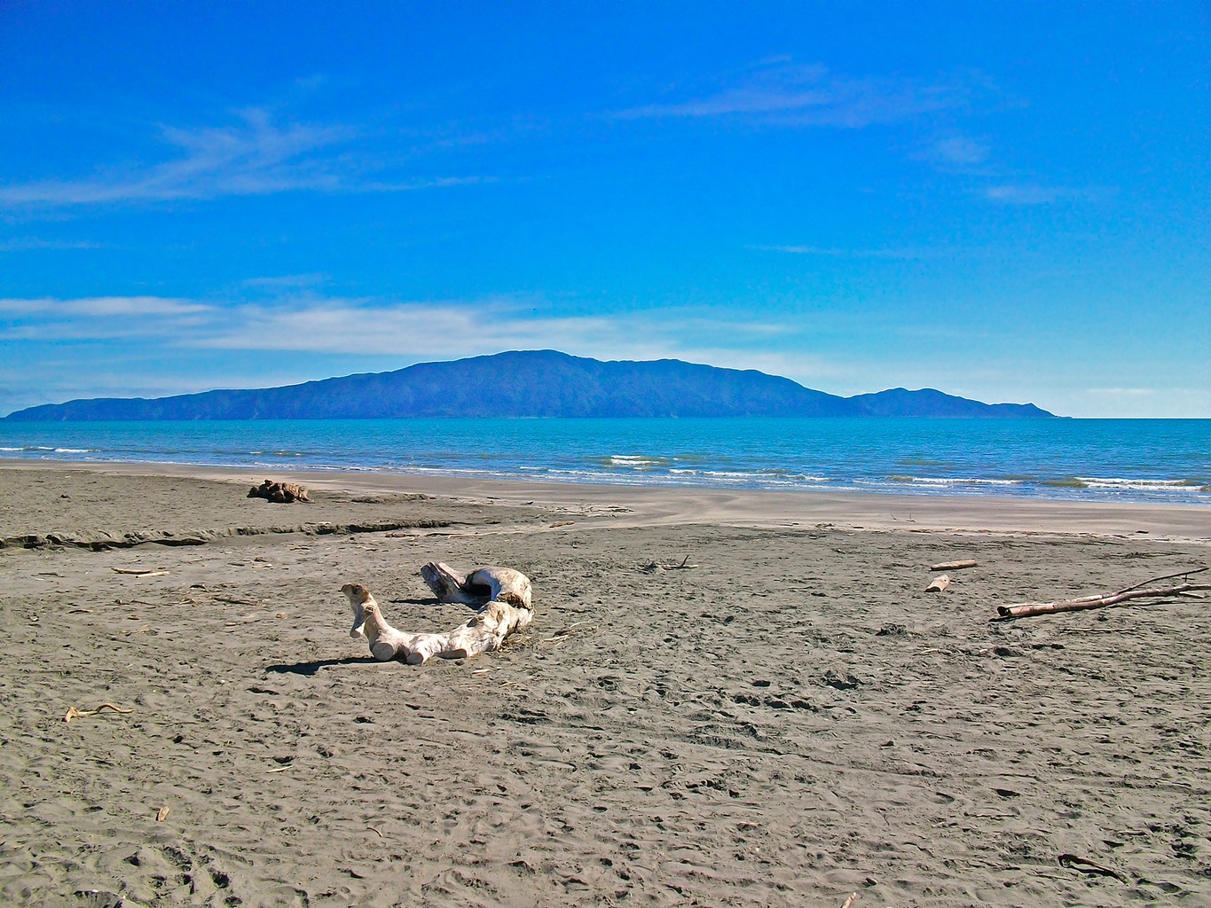 Kapiti Island Nature Reserve