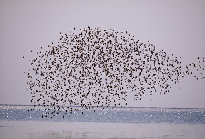 Tetlin National Wildlife Refuge