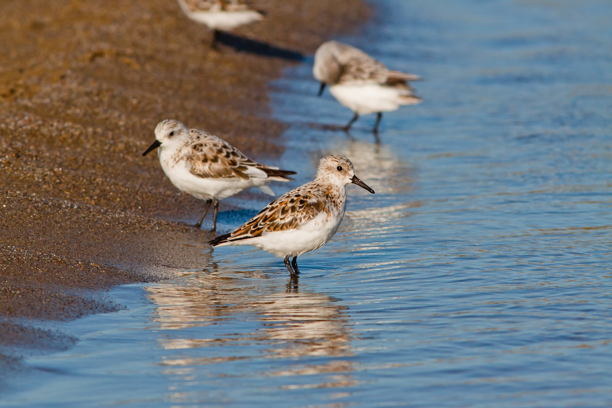 Point Reyes National Seashore