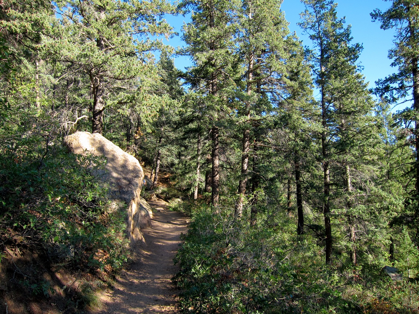 Hall Valley and Handcart Campgrounds