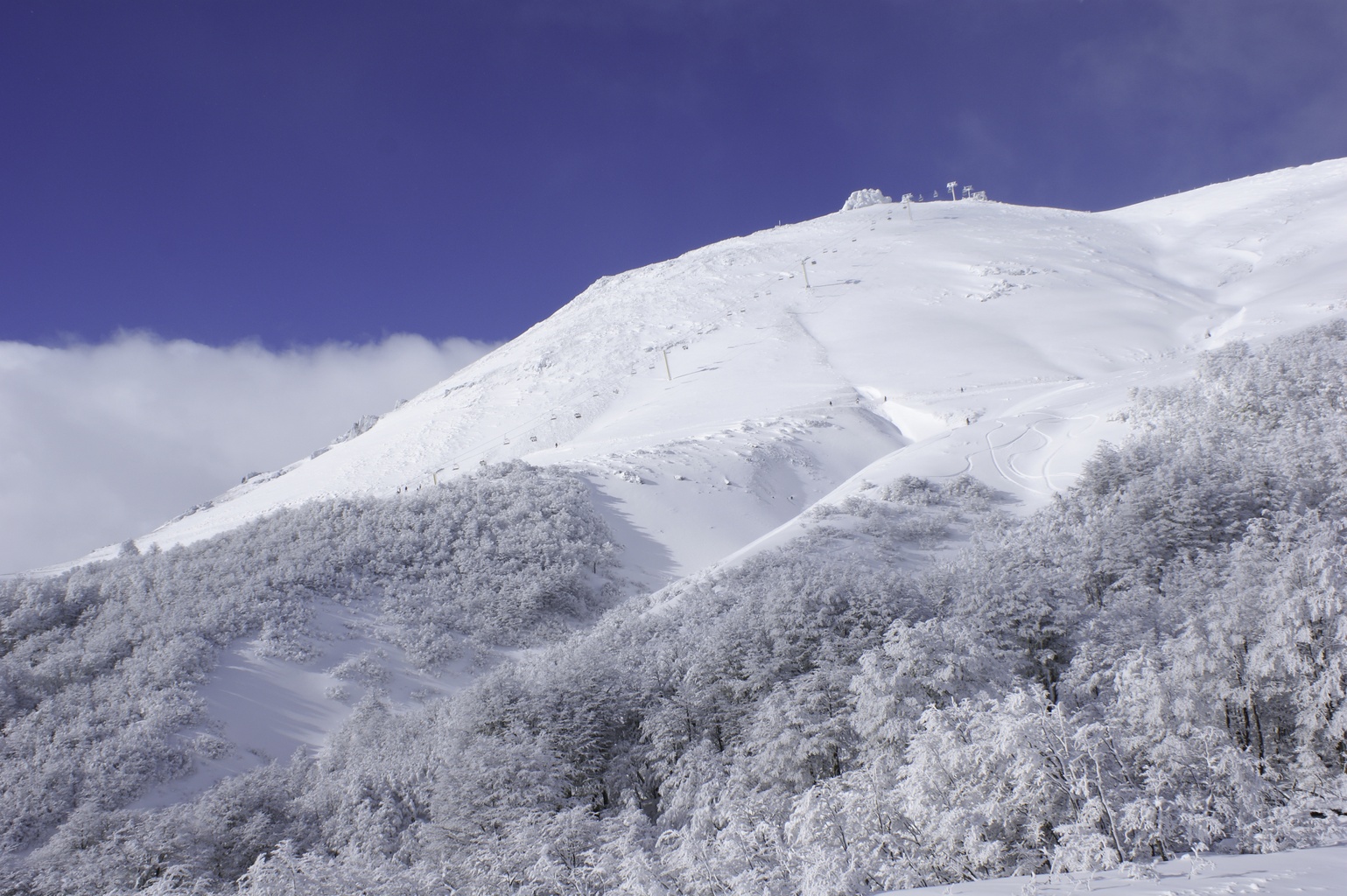 Cerro Chapelco