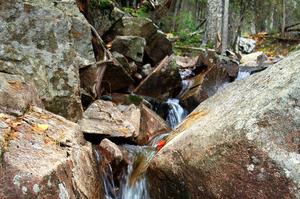 Acadia National Park