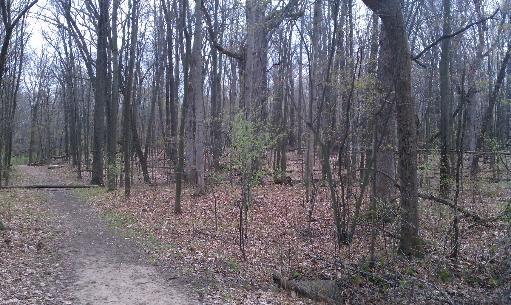 Waterloo-Pinckney Trail