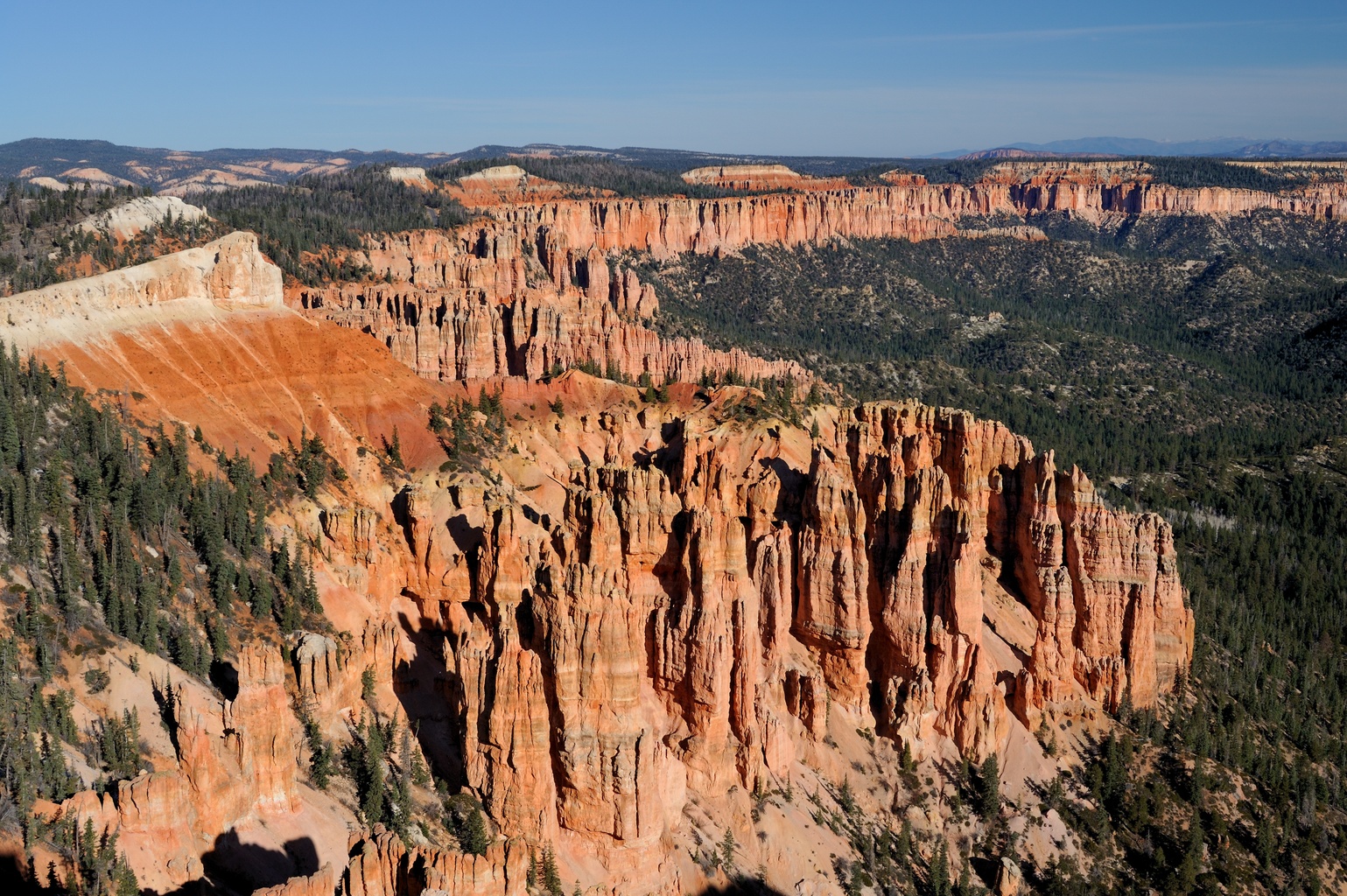Riggs Spring Fire Trail (Riggs Spring Loop Trail)