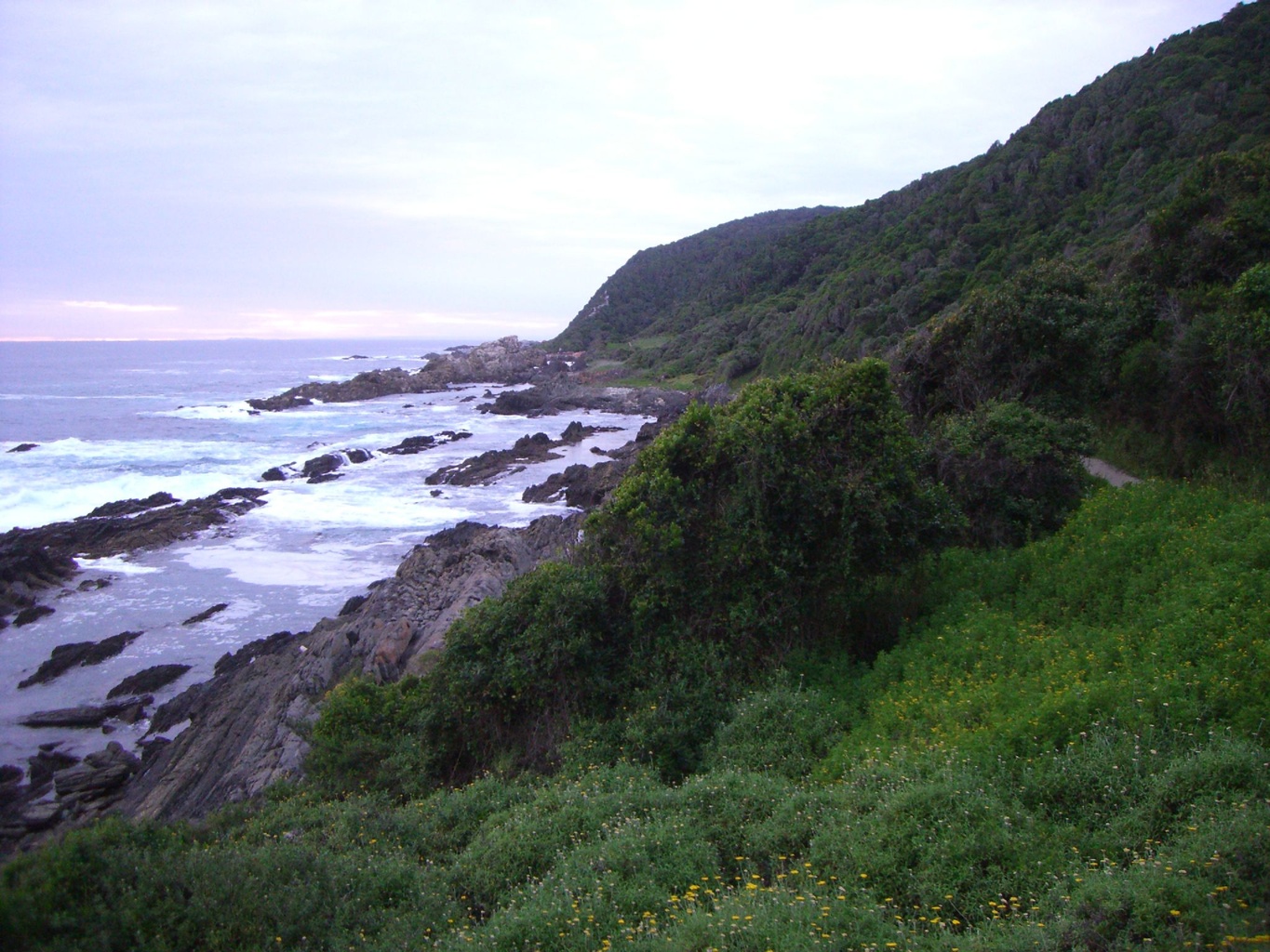 Otter Trail