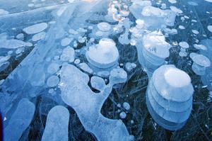 Frozen Bubbles at Abraham Lake