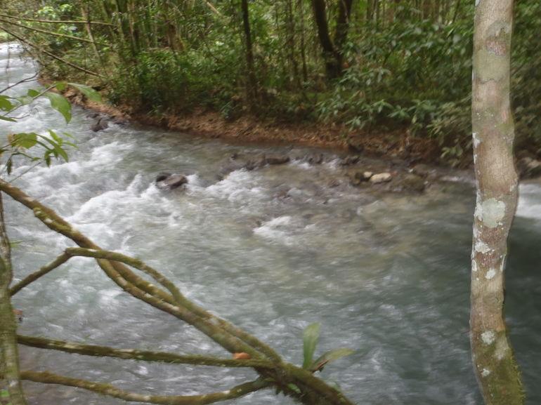 Jungle River Tubing Safari from Montego Bay