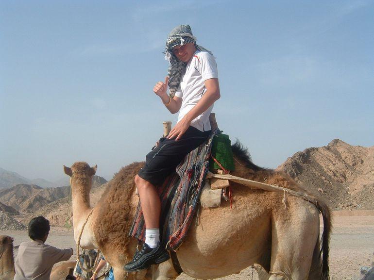 Camel Safari with Optional Bedouin Dinner