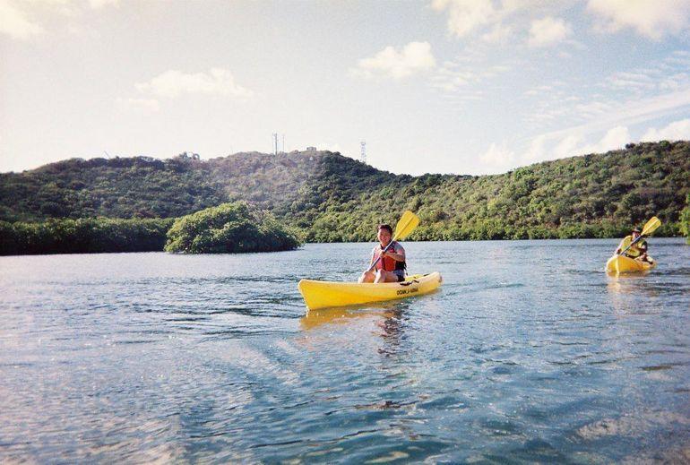 St Thomas Mangrove Lagoon Kayak and Snorkel Tour