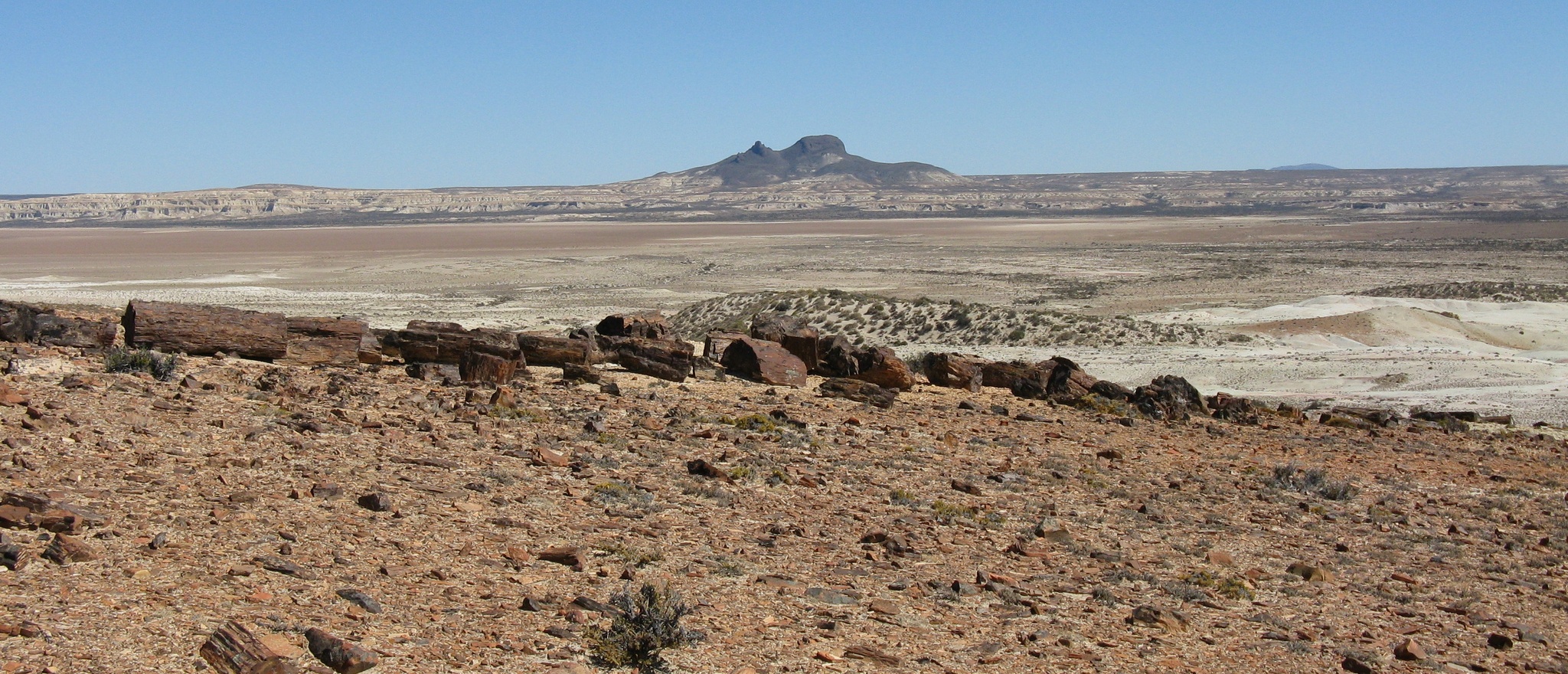 Bosque Petrificado (Petrified Forest)