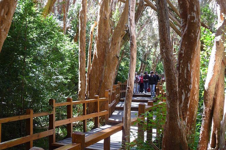 Los Arrayanes National Park