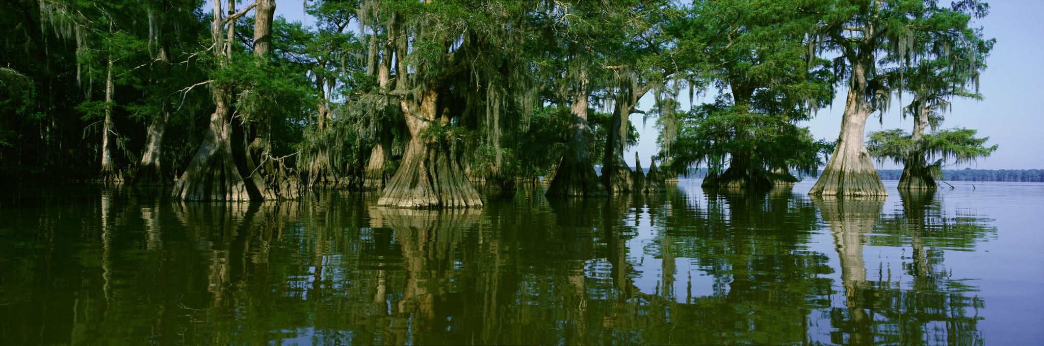 Lake Fausse Pointe State Park