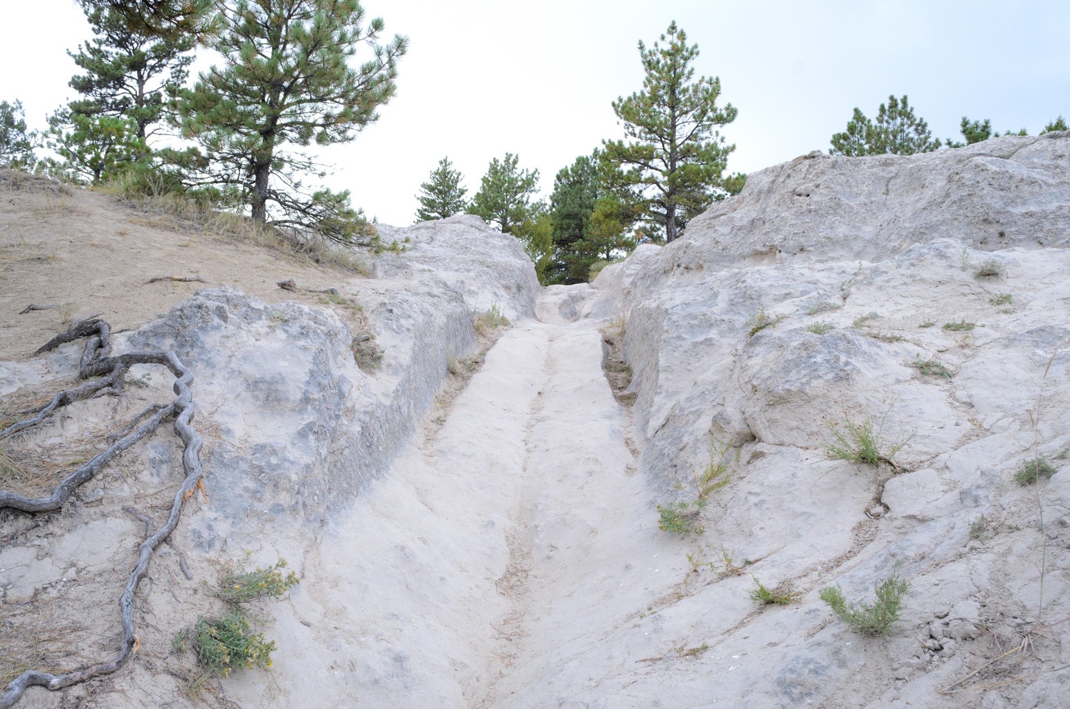 Oregon Trail Ruts (Guernsey)