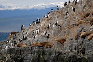 Beagle Channel