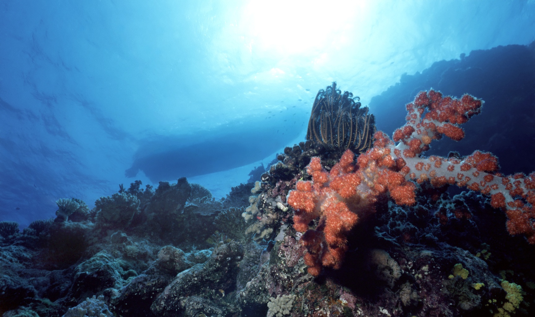 Great Astrolabe Reef