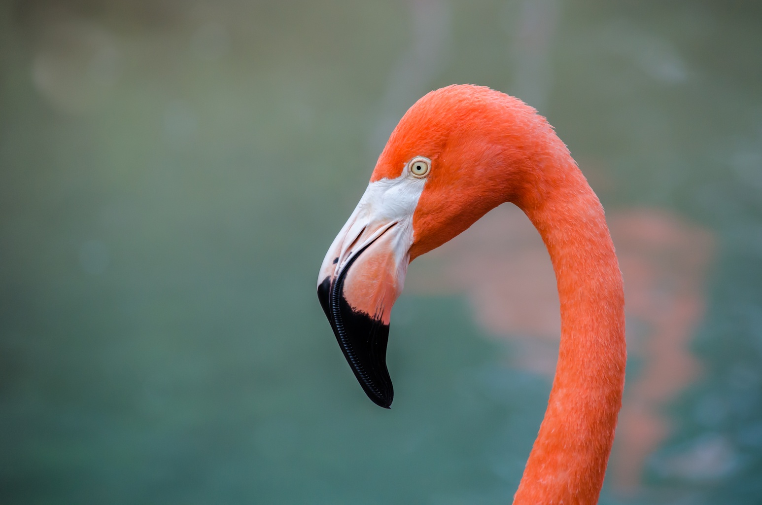 Inagua National Park