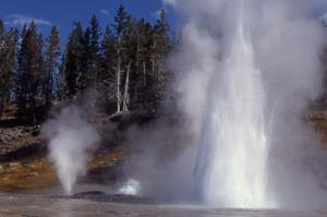 Grand & Vent Geysers