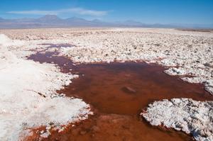 Salar de Atacama (Atacama Salt Flat)